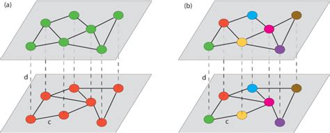 schematic representation of a intra layer synchronization and b download scientific diagram
