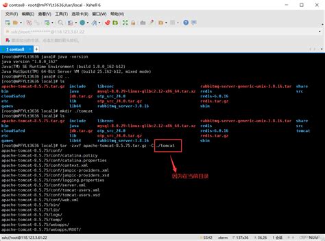 怎么在linux下安装tomcat？ 在linux服务器上安装tomcat csdn博客