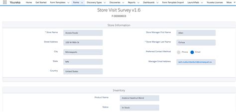 How To Create A Fillable Form In Salesforce Einstein Hub SalesForce Guide