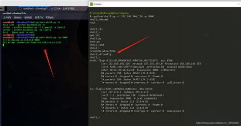 python如何实现socket通信建立tcp反向连接 开发技术 亿速云