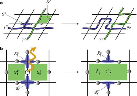 the surface code and correction of qubit loss a logical qubits are download scientific diagram