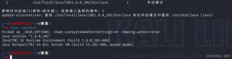 记一次jmet报错信息exception in thread “main“ java lang illegalaccesserror class ysoserial payloads