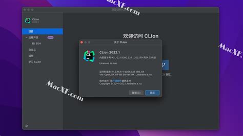 c和c ide智能代码编辑器 clion 2022 mac 哔哩哔哩