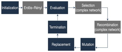 evolutionary algorithms guided by erdős rényi complex networks [peerj]