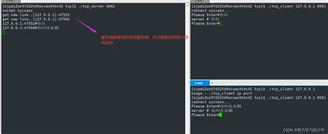 【linux网络（c 】——网络套接字（tcp udp编程模型）多进程，多线程，线程池服务器开发（画图解析） c 套接字 linux csdn博客