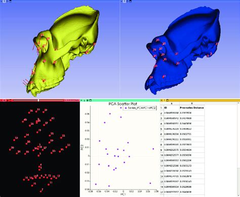 visualization features of the generalized procrustes analysis gpa download scientific diagram