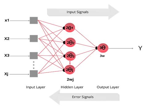 visual representation of ann with backpropagation download scientific diagram