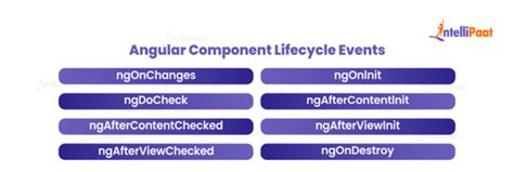 What Is Component In Angular Implementation Lifecycle