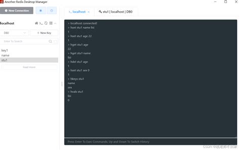 java 中操作 redis java 怎么使用 redis csdn博客