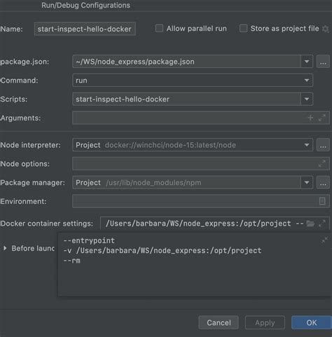 Run Debug Configuration NPM WebStorm Documentation