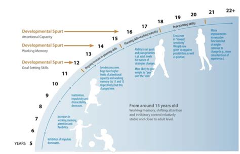 a developmental chart of executive function skills from age 5 through age 22 a great resource