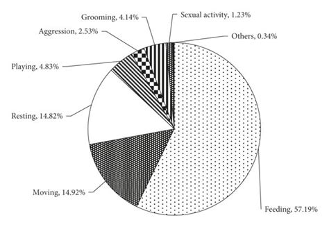 Overall Activity Time Budget Of Geladas Download Scientific Diagram