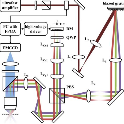 pdf wavefront sensorless adaptive optics temporal focusing based multiphoton microscopy