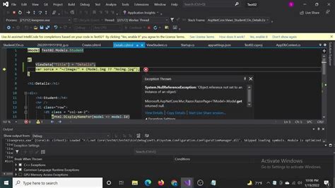 nullreferenceexception object reference not set to an instance of an object aspnetcore views