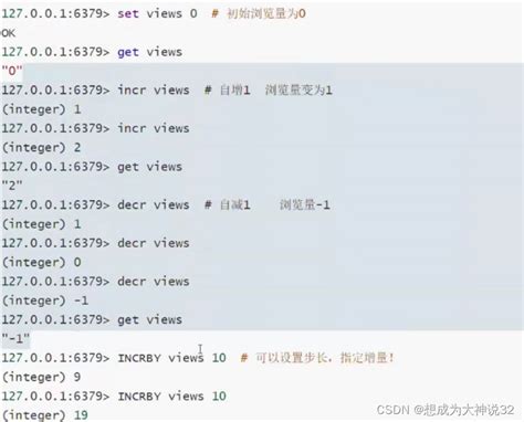 关于redis 五大基本数据类型，以及使用 最全演示） redis的基本类型的使用示例 csdn博客