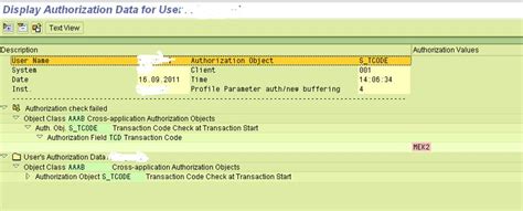 SAP Tips And Tricks SU53 User Authority Data