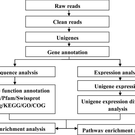 pipeline of bioinformatics analysis download scientific diagram