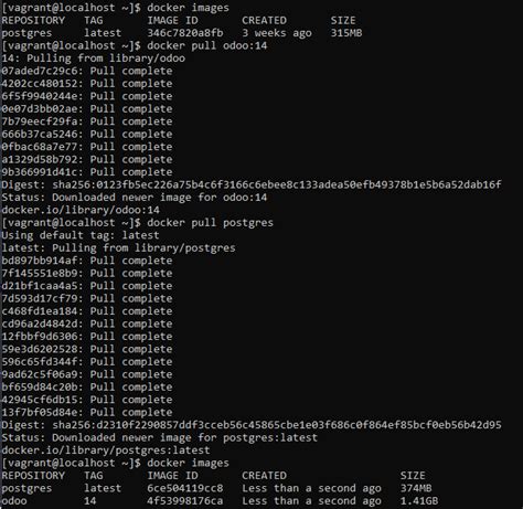 How To Install Odoo On Docker Container 13 14 DevopsRoles