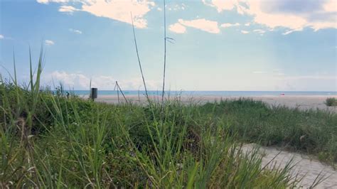 Download The Beach House Nicholas Ryder Heath Halo 2023