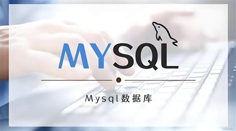 mysql数据库基础知识 csdn博客