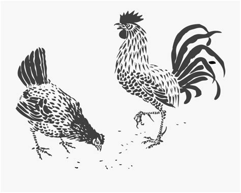 Chicken Vector Art At Collection Of Chicken Vector Art Free For Personal Use