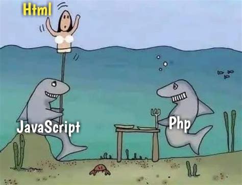 Programming Trap For New Learner Aprogrammerlife
