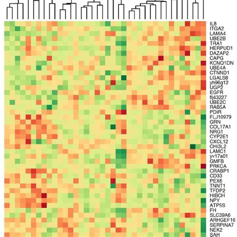 gene expression profiling gep of conventional rcc a a gep download scientific diagram