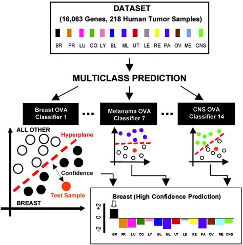 multiclass cancer diagnosis using tumor gene n expression signatures pnas