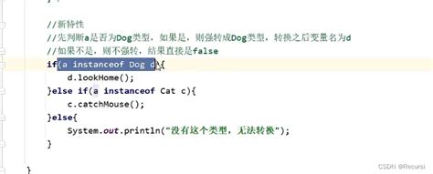 java——多态 多态技术中指令替换计算 csdn博客