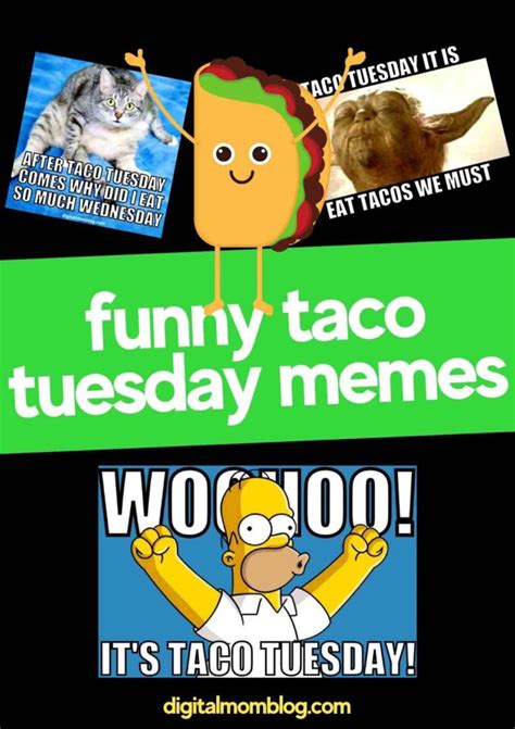 30 Funny Taco Tuesday Memes Images And S For Taco Day