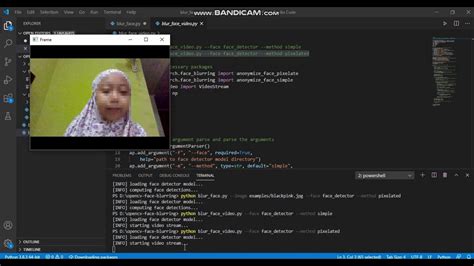 Blur And Anonymize Faces With Opencv And Python UAS Computer Vision