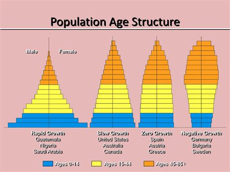 Age Structure Diagrams And Population Pyramids Chart From P