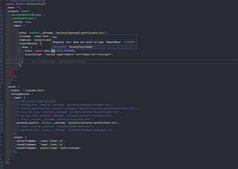 reactjs import meta env works everywhere except nfig ts file stack overflow