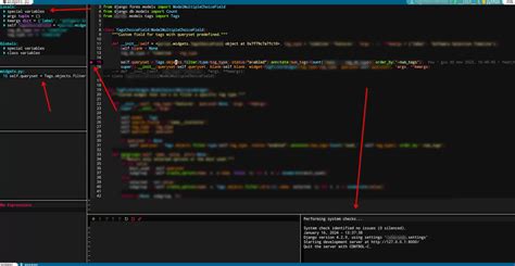 neovim lsp and dap for python and django daniele mte90 scasciafratte