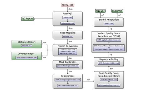 Bioinformatic Workflows H3ABioNet Pan African Bioinformatics Network