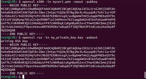 How To Check Certificate With OpenSSL LaptrinhX