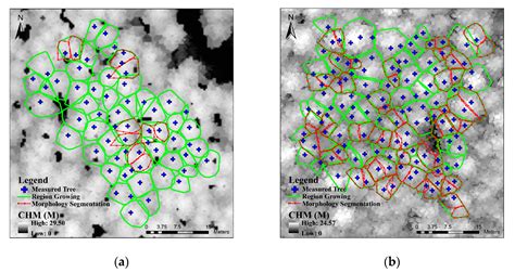 remote sensing free full text individual tree crown segmentation of a larch plantation using