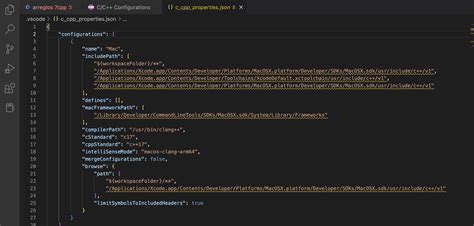 Vs Code Error Pathinclude Using C Microsoft Vscode Cpptools