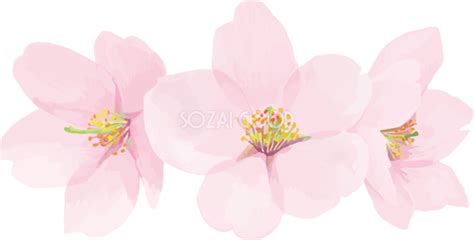 花 イラスト 背景透過