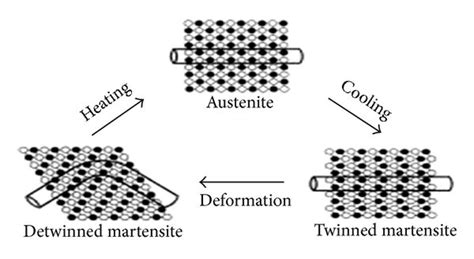 diagrammatic representation of the shape memory effect of niti alloy download scientific