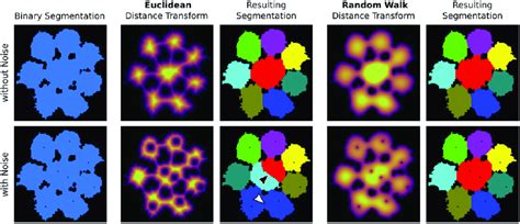 comparison of euclidean distance transform and random walk distance download scientific diagram