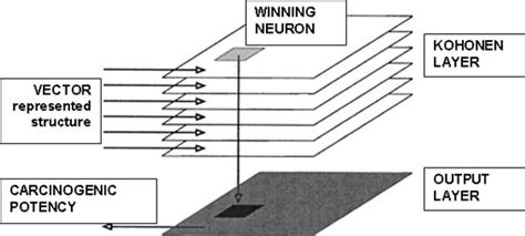 counter propagation neural network architecture download scientific diagram