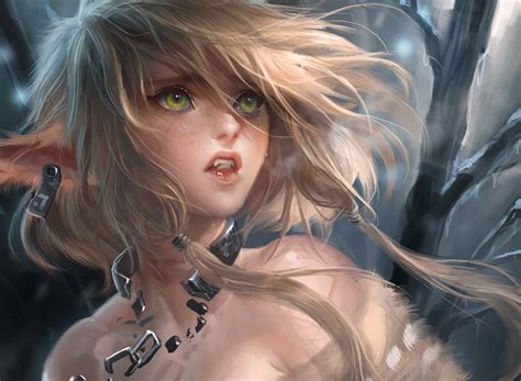 Elves Dark Blonde Glance Fantasy Girls Elf Wallpaper 136307 Wallpaperup