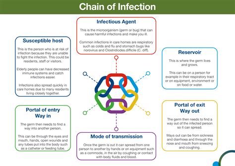 The Chain Of Infection Explained