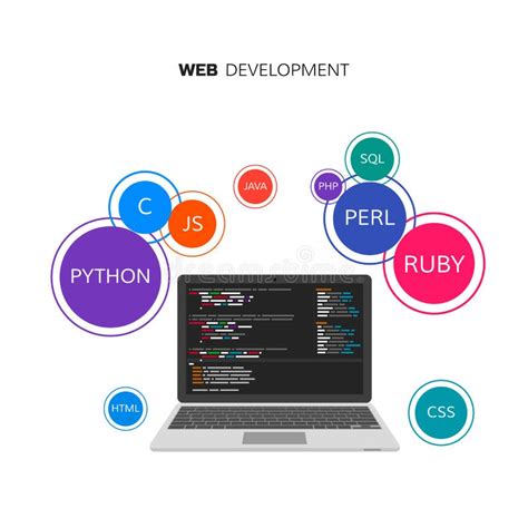web development infographic programming languages programming and coding vector illustration