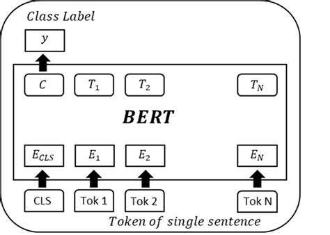 Illustrations Of Fine Tuning Bert For Classification Tasks From Figure Download Scientific