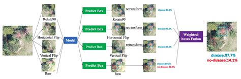 remote sensing free full text a deep learning based generalized system for detecting pine