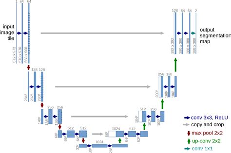 [深度学习 实操笔记] unet 语义分割 pytorch实现 256大小的unet pytorch csdn博客