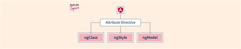 Attribute Directive In Angular Scaler Topics