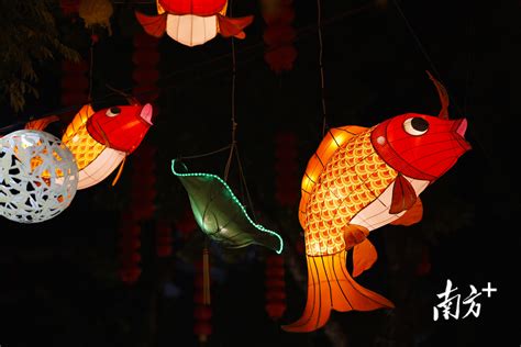网络中国节春节江门年味浓夜精彩新会赏鱼灯启明里逛市集附视频 南方plus 南方